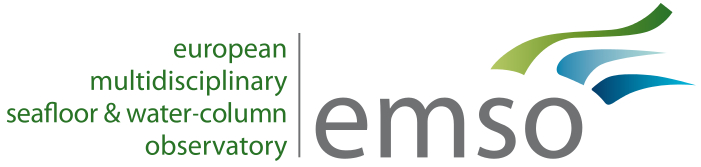 ERVO GROUP // Relevant Networks and Projects